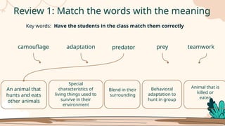 6.4 Adaptations of predators and prey.pptx