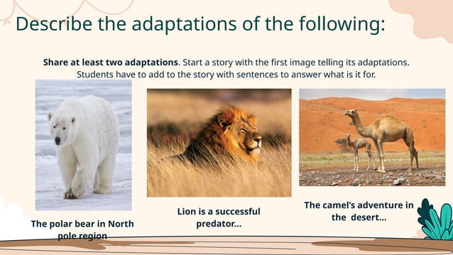 6.4 Adaptations of predators and prey.pptx | Hunting and Shooting | Sports