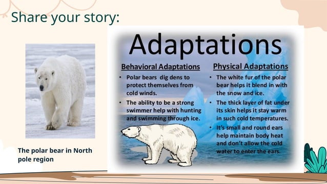 6.4 Adaptations of predators and prey.pptx | Hunting and Shooting | Sports