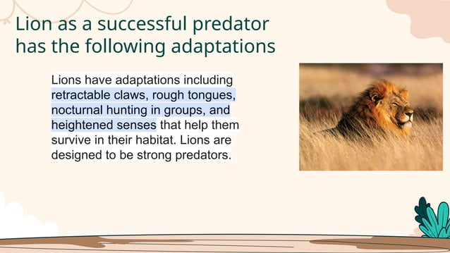 6.4 Adaptations of predators and prey.pptx | Hunting and Shooting | Sports