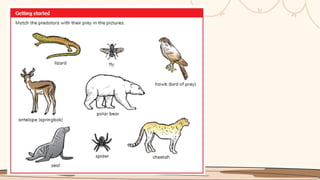 6.4 Adaptations of predators and prey.pptx