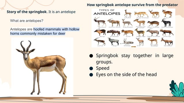 6.4 Adaptations of predators and prey.pptx | Hunting and Shooting | Sports