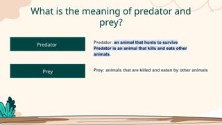6.4 Adaptations of predators and prey.pptx