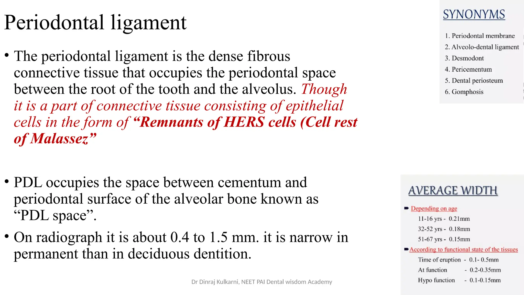 periodontal ligament histology and anatomy | PPTX