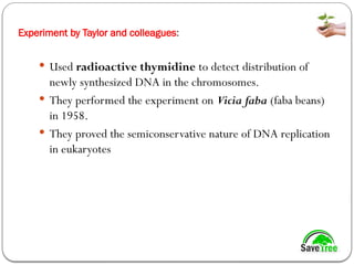 Class 12 Molecular Basis of Inheritance.pptx