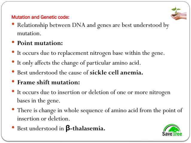 Class 12 Molecular Basis of Inheritance.pptx