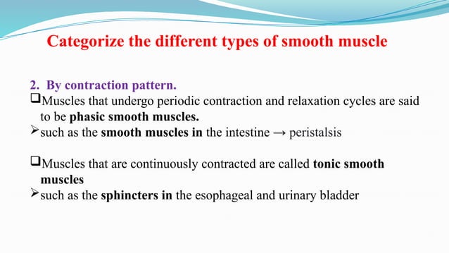 6. muscle physiology.pptx pharmacology for muscle medicine | PPT | Free ...