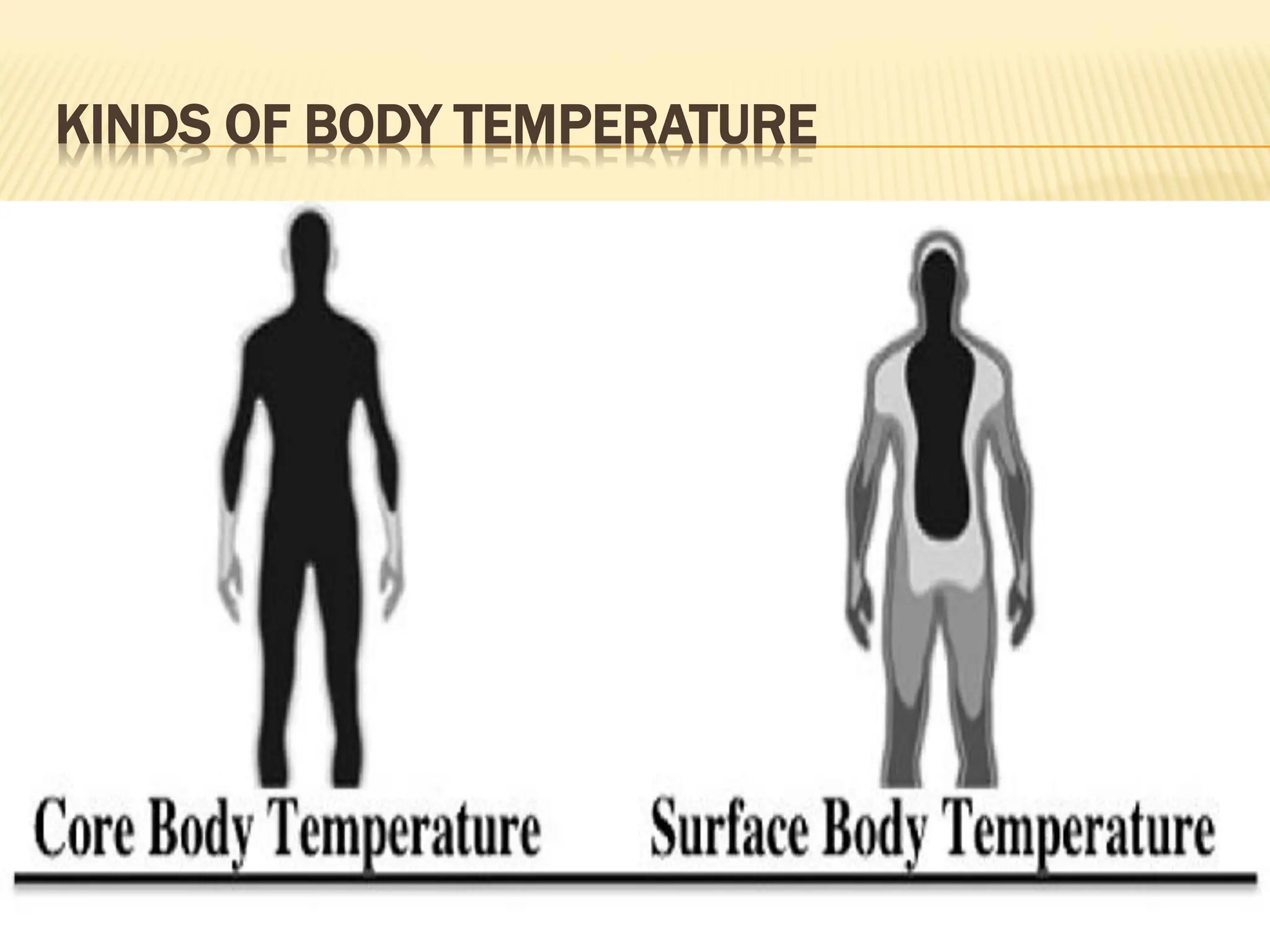 VITAL SIGNS, Temperature, Pulse, Respiration, Blood pressure (B/P) | PDF