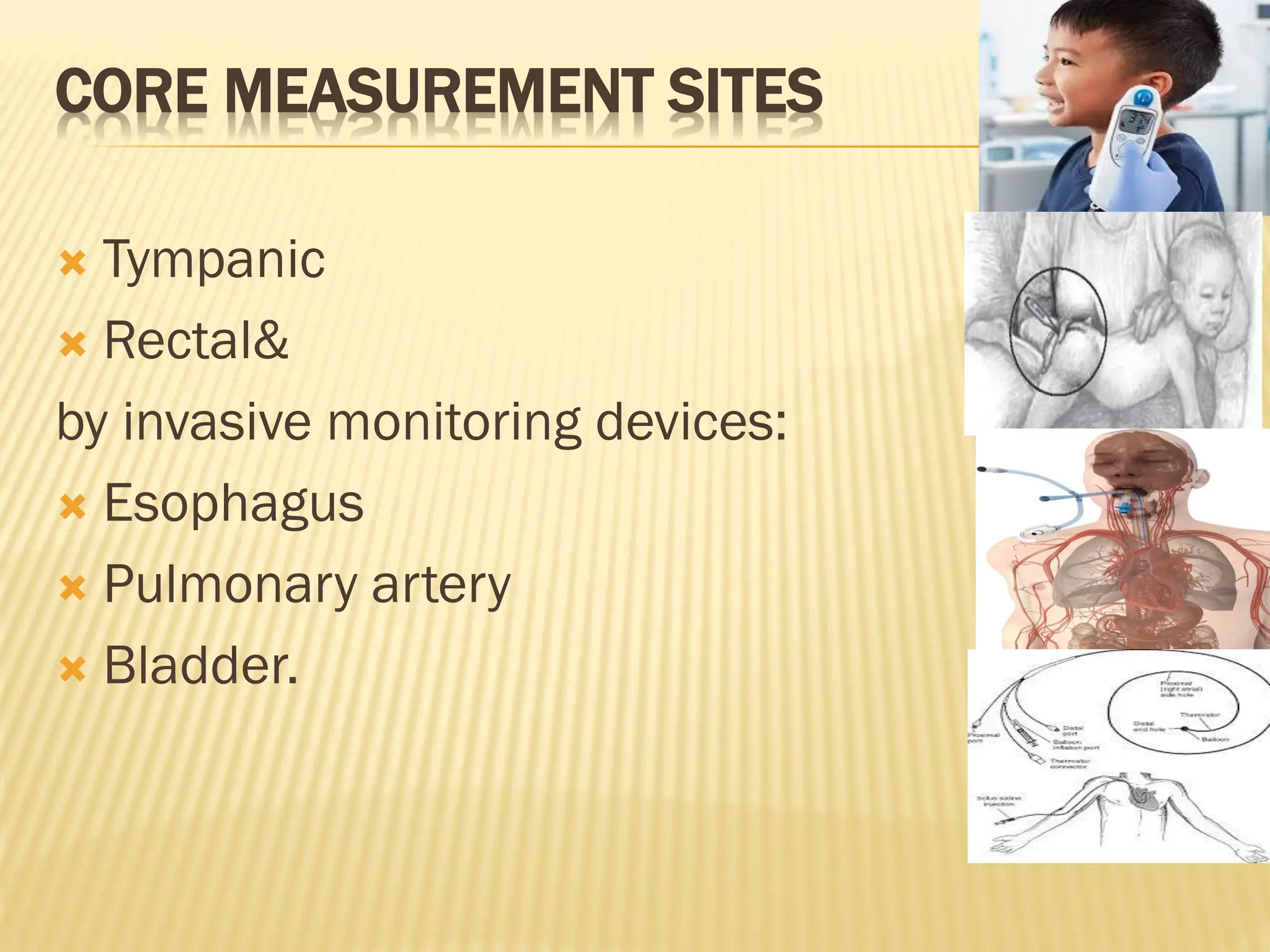 VITAL SIGNS, Temperature, Pulse, Respiration, Blood pressure (B/P) | PDF