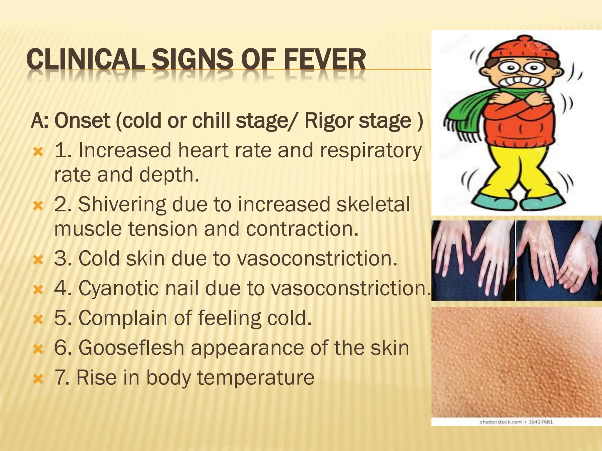 VITAL SIGNS, Temperature, Pulse, Respiration, Blood pressure (B/P) | PDF