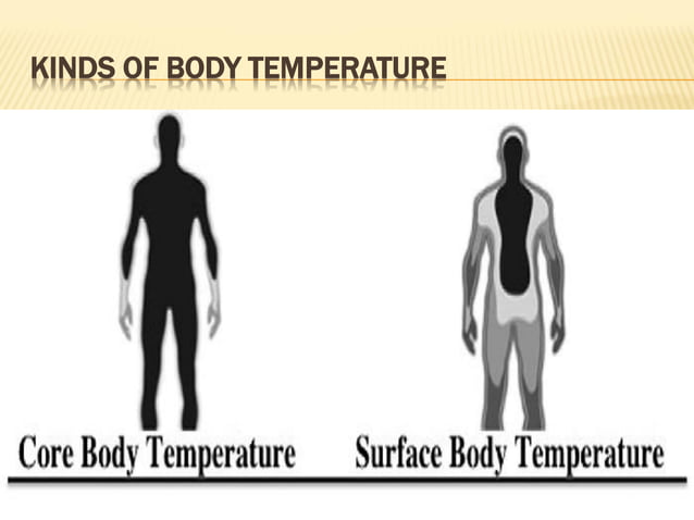 VITAL SIGNS, Temperature, Pulse, Respiration, Blood pressure (B/P) | PDF