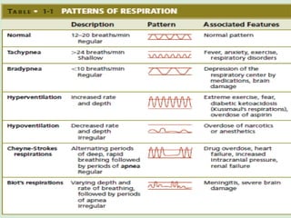 VITAL SIGNS, Temperature, Pulse, Respiration, Blood pressure (B/P) | PDF