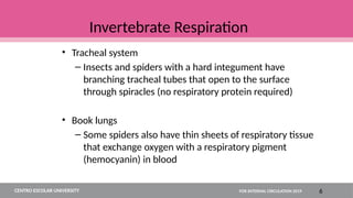 6. Respiratory Sytem .pptx CEU MANILA GENERAL BIOLOGY | PPTX