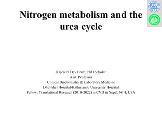 Nitrogen metabolism and the urea cycle for MBBS, BDS, Lab. Med..pptx