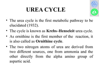 Nitrogen metabolism and the urea cycle for MBBS, BDS, Lab. Med..pptx