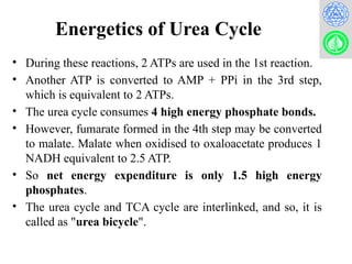 Nitrogen metabolism and the urea cycle for MBBS, BDS, Lab. Med..pptx