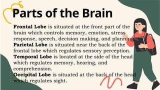 6.1-Brain-Parts-Process-and-Functions (1).pptx