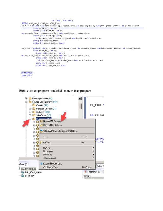 AMDP Debugging step by step detail guide.docx