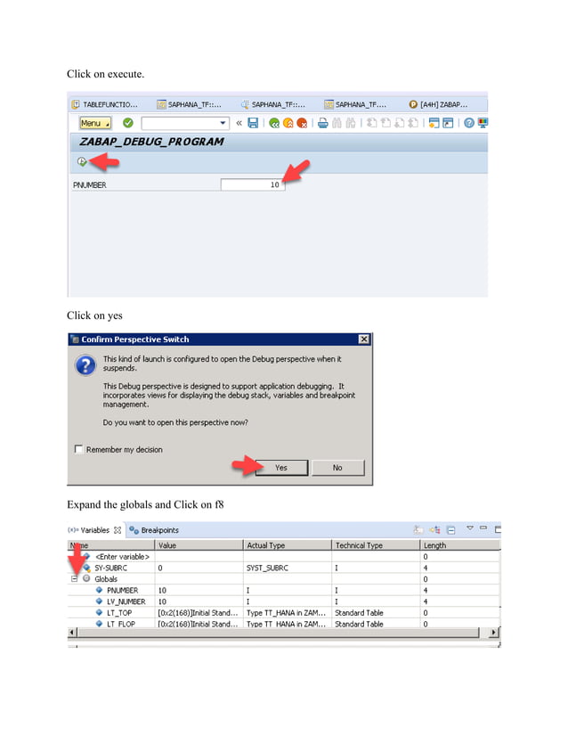 AMDP Debugging step by step detail guide.docx