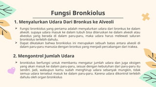 6. ANATOMI FISIOLOGI PERNAPASAN dasar manusia | PPTX