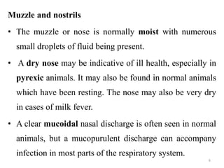 6. Examination of head and neckkkkkkkk.pdf