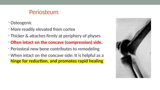 6.Pediatric Fractures................pptx