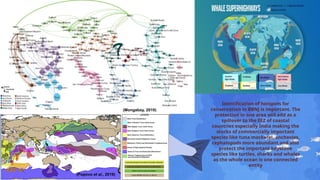 bbnj agreement and position of India updated | PPTX