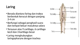 6. SISTEM PERNAFASAN anatomi dan fisiologi.pptx