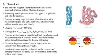 Proteins, Amino acids and their functions | PPT