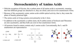 Proteins, Amino acids and their functions | PPTX