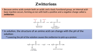 Proteins, Amino acids and their functions | PPTX