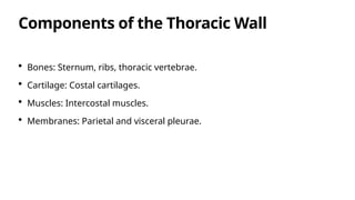 6. Anatomy of Thoracic Wall 2.pptx in power point | PPTX
