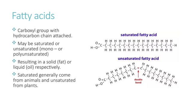 6. Lipids-2.ppt cape biology 2025 document | PPTX