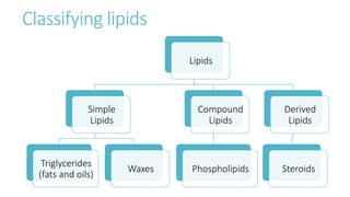 6. Lipids-2.ppt cape biology 2025 document | PPTX