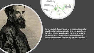 6. PHYSIOLOGY OF AUTONOMIC (VEGETATIVE) NERVOUS SYSTEM.pptx