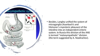6. PHYSIOLOGY OF AUTONOMIC (VEGETATIVE) NERVOUS SYSTEM.pptx