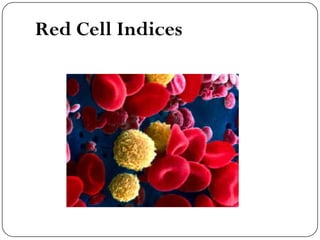 6. Blood cell indices in hematology ppt | PDF