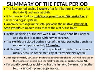6. Fetal Period(9th ----38th weeks}.pptx