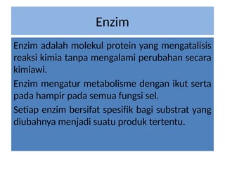 6.Enzim mekanisme enzim dan asam amino protein.pptx
