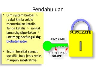 6.Enzim mekanisme enzim dan asam amino protein.pptx