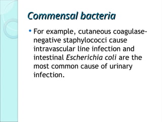 6.Nosocomial_infections presentation for nursing | PPT