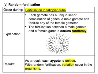 Biology Chapter 6.1 Types of Variation.pptx