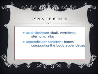 6.. biomechanics of bone sub topic of biomechanics of structure of the ...