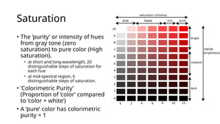 6.1 Colour Vision and Physiological Processes.pptx