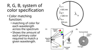 Color Measurement System and CIE Chromaticity Diagram .pptx
