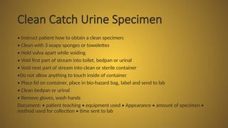 6.-Urine-Collectionyggyghhbgb vvvv vvvvv.pptx