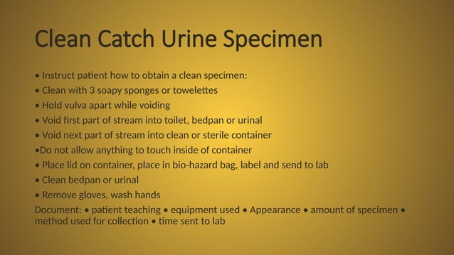 6.-Urine-Collectionyggyghhbgb vvvv vvvvv.pptx
