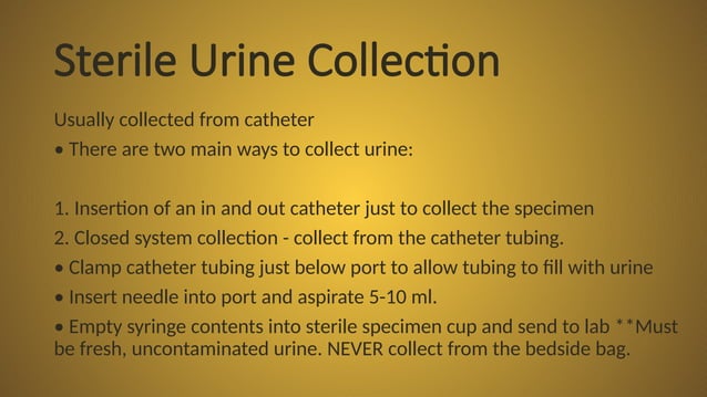 6.-Urine-Collectionyggyghhbgb vvvv vvvvv.pptx