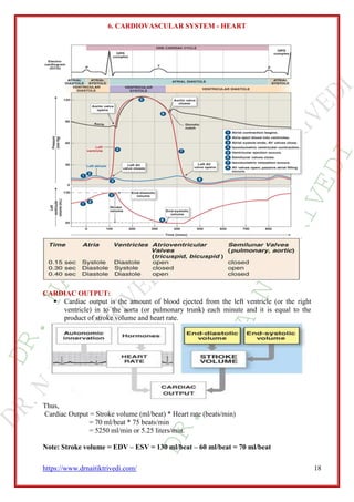 6.-THE CARDIOVASCULAR-SYSTEM-HEART EAD.pdf