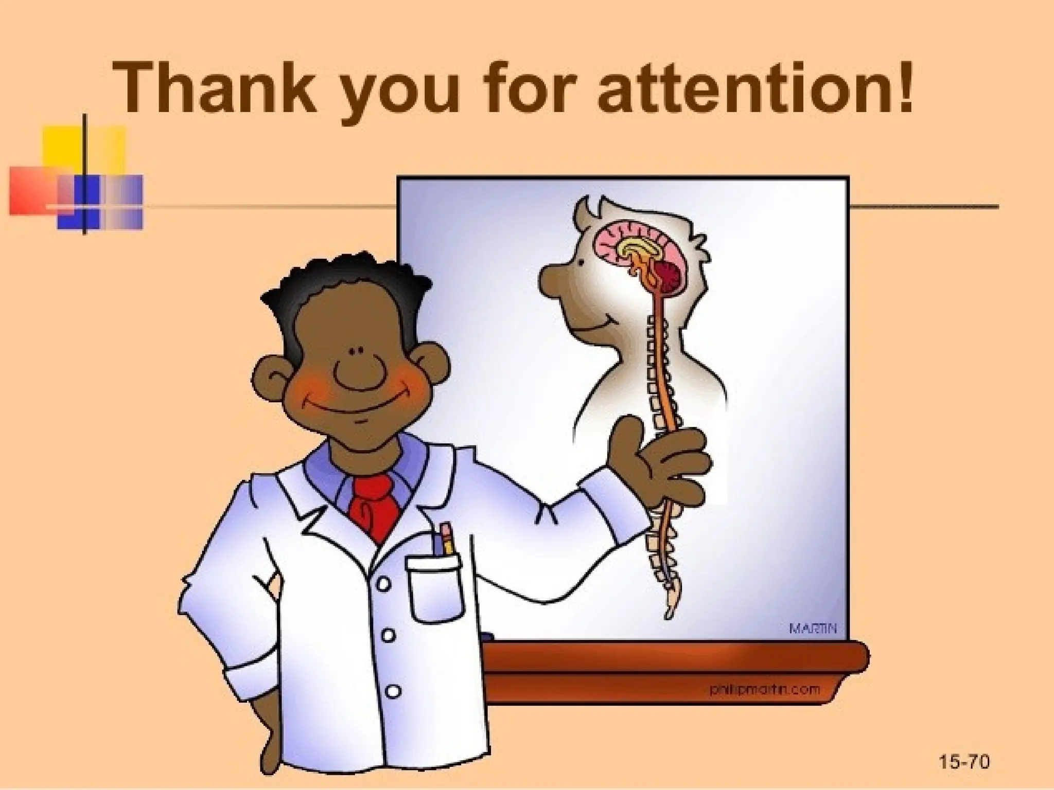 neuroanatomy of brainstem: pons, medulla and midbrain | PPTX